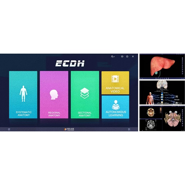 55Inch Digihuman Anatomy Teaching System - Shandong Digihuman ...