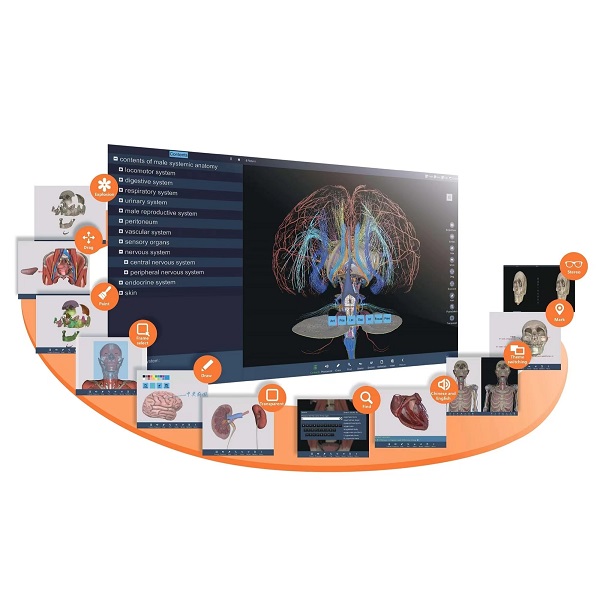 86Inch Digihuman Anatomy Teaching Blackboard - Shandong Digihuman ...
