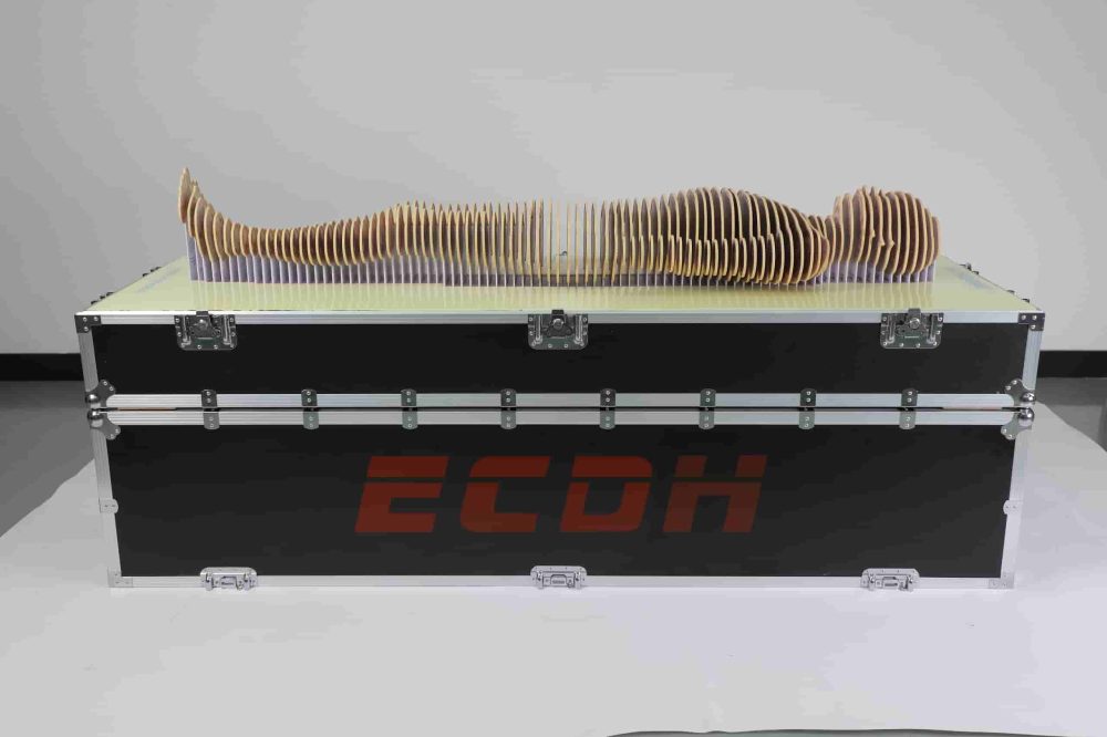 Digihuman HD Tomography 3D Printing Model - Shandong Digihuman ...