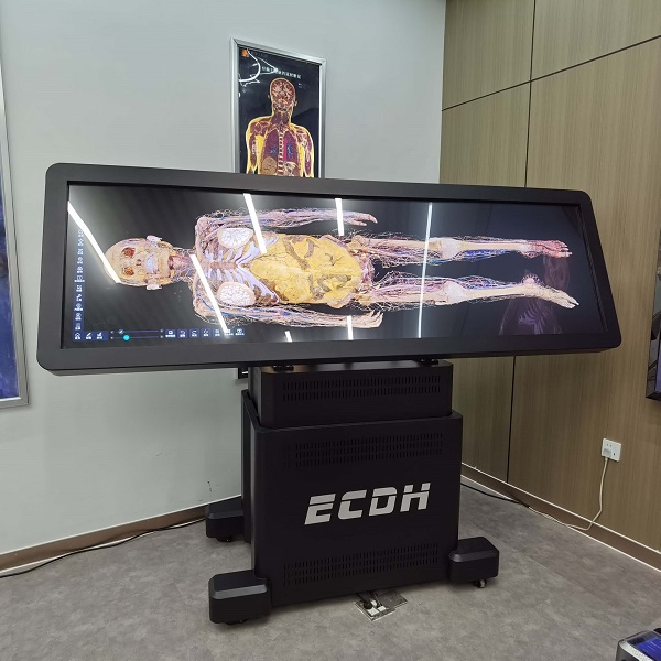 HD Digihuman Virtual Anatomy Table - Shandong Digihuman Technology Co., Inc