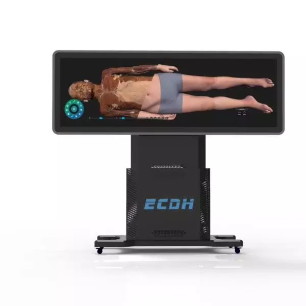 The Digital Transformation of Anatomy Education: How Human Anatomy ...